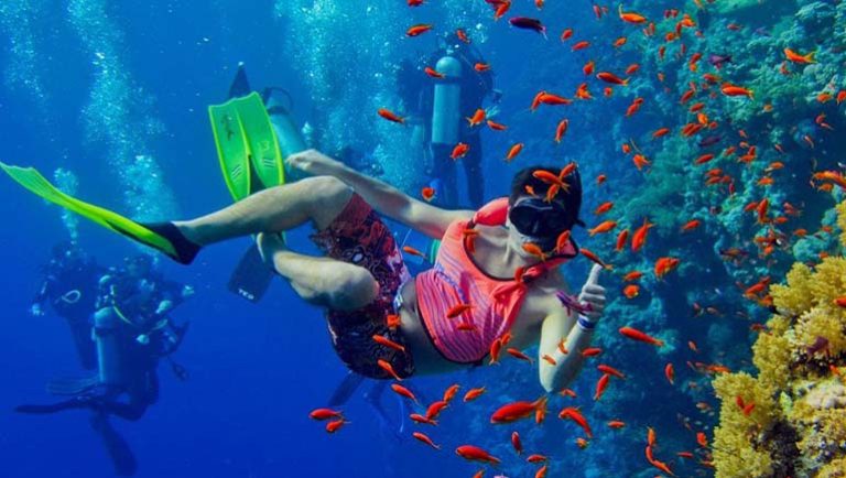 Snorkeling and Diving at Mnemba Atoll - Mustafa Tours & Safaris ...